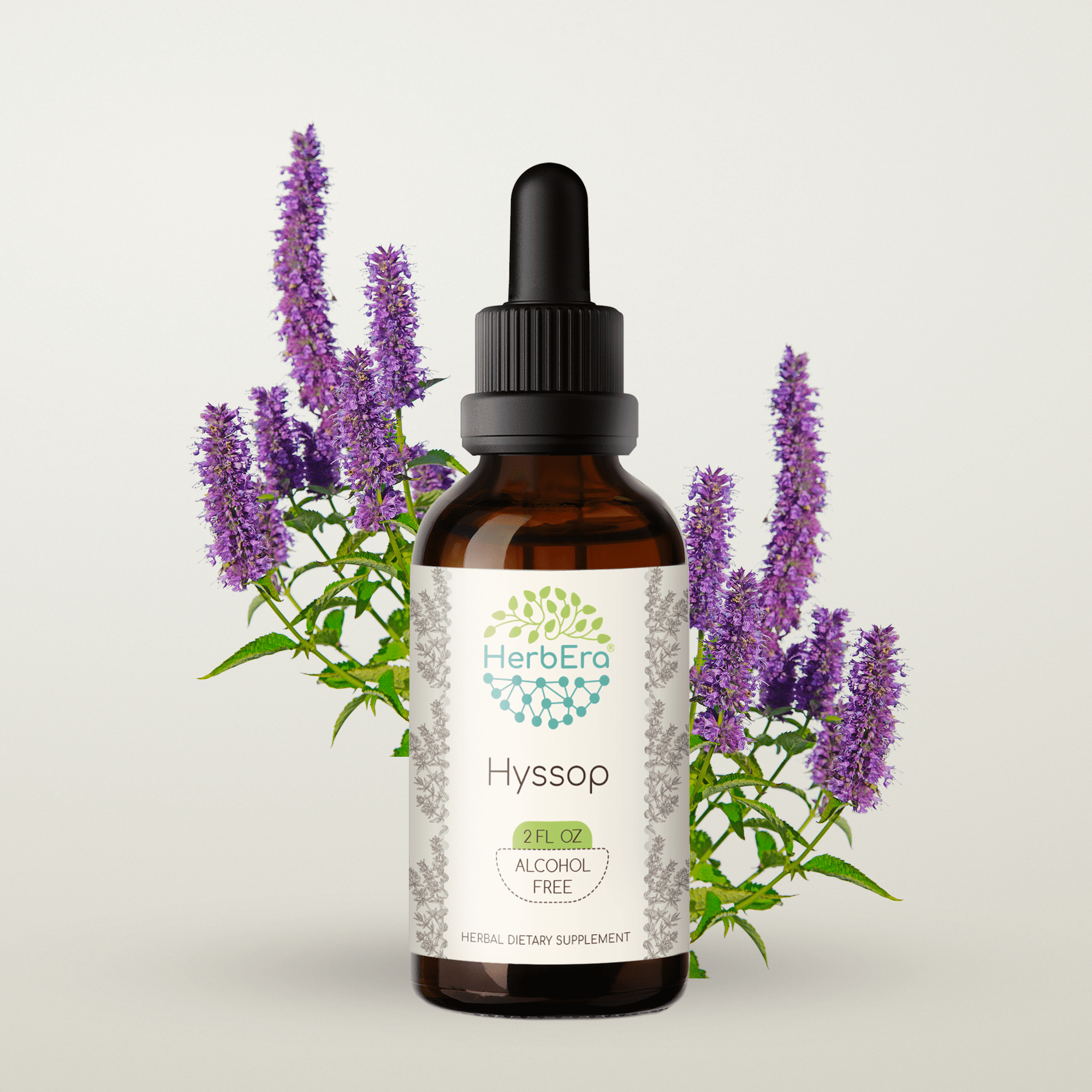 Hyssop Alcohol-FREE Herbal Extract Tincture, Super-Concentrated Organic ...