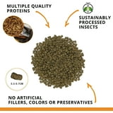 Fluval Bug Bites M-L Goldfish Pellets 3.53oz, Insect-Based Fish Food ...