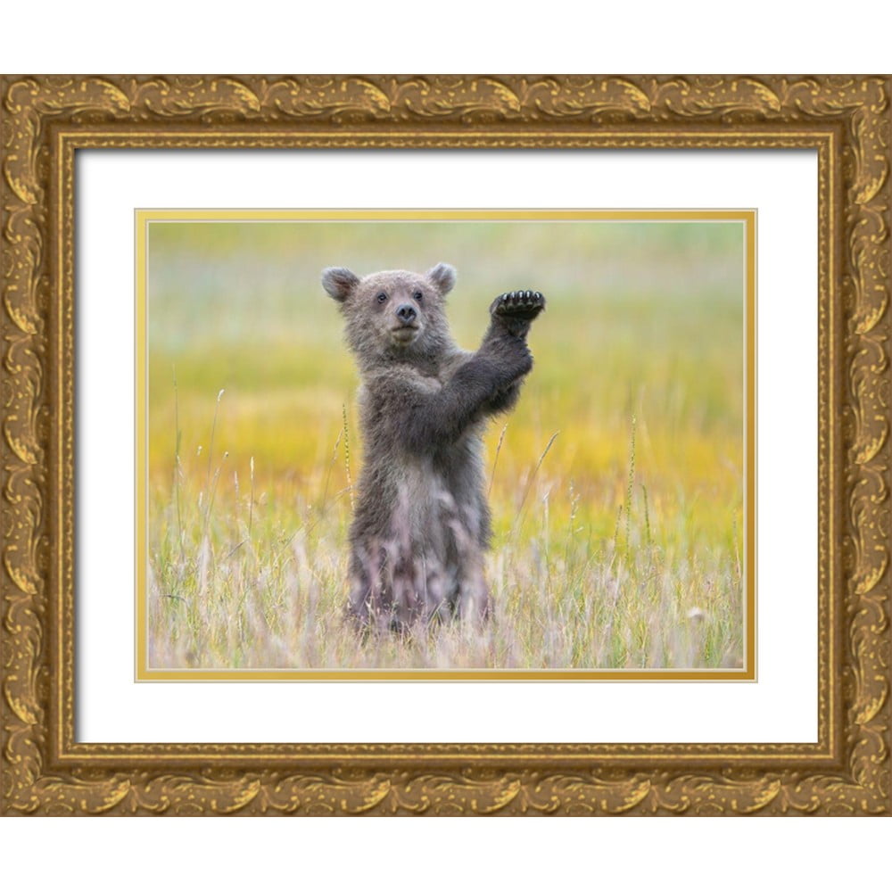 Hao Jiang, 14x12 Gold Ornate Wood Framed with Double Matting Museum Art ...