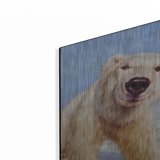 Luxe Metal Art 'Polargram' by Lucia Heffernan, Metal Wall Art, 24"x16 ...