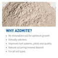 AZOMITE Micronized Organic Plant Powder for Root Growth & Minerals ...