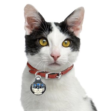 Personalized Dog Tags and Cat Tags, Stainless Steel Dog Cat Pet ID Name ...
