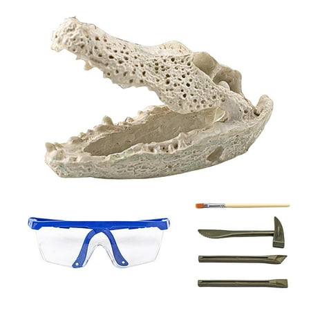 Funny Dinosaur Excavation Kit DIY Excavation Toys Archaeology Discovery ...