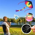 Crogift Large Kites Set for Children & Adults - Delta, Devil Fish ...