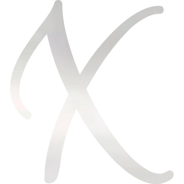 Decorative Acrylic Letter, Custom Blank X Script, 8'' Tall Clear ...