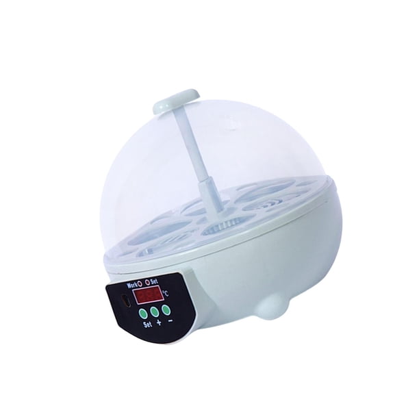 fastboy Lighted Egg Incubator with Temperature Control for Duck Eggs ...