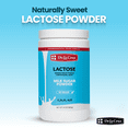 De La Cruz, Lactose Powder, 24 oz, Milk Sugar for Brewing - Walmart.com