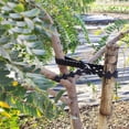 BESTYASH 10Pcs Premium Rubber Tree Binding Belt Black Color for Outdoor ...