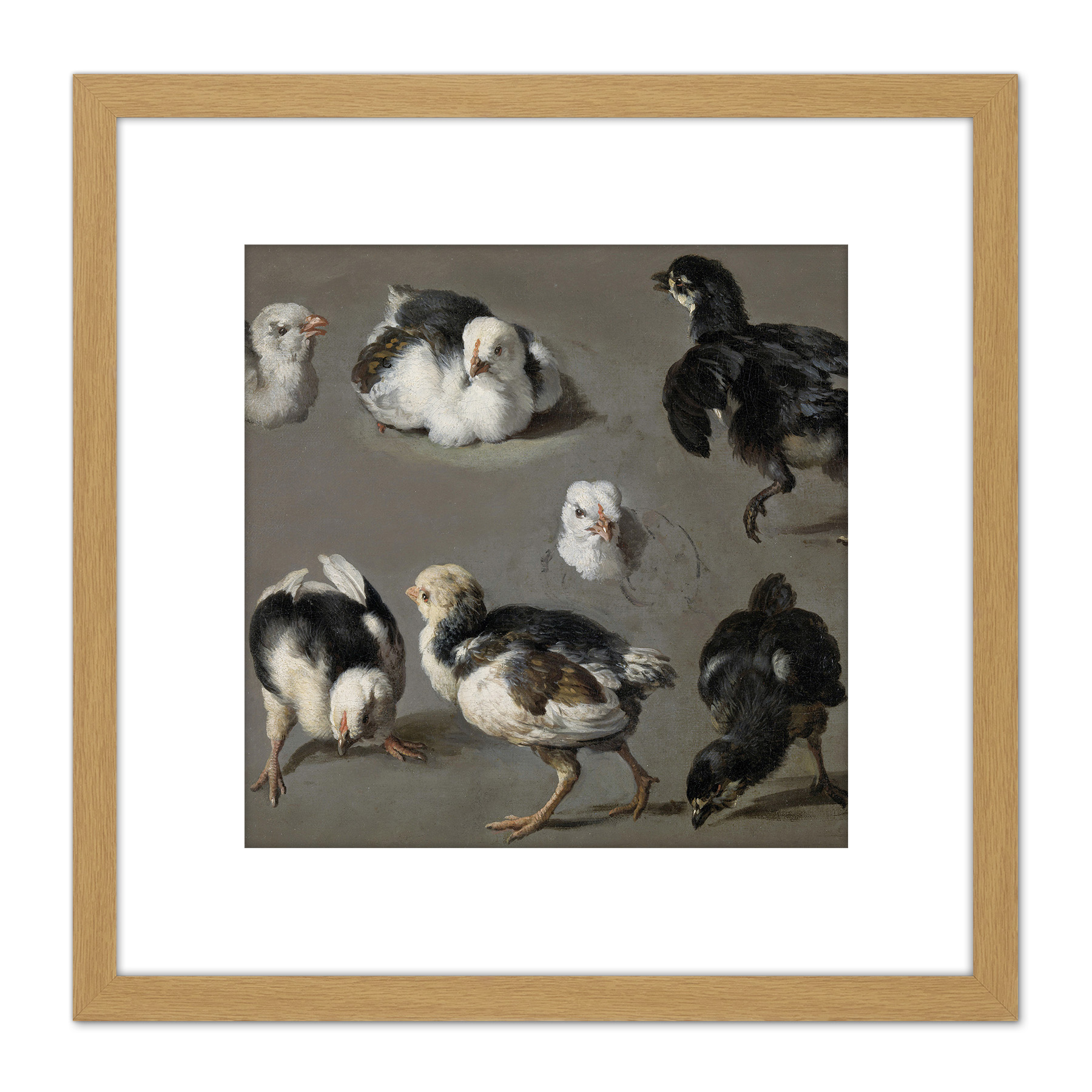 Hondecoeter Seven Chicks Birds Painting 8X8 Inch Square Wooden Framed ...