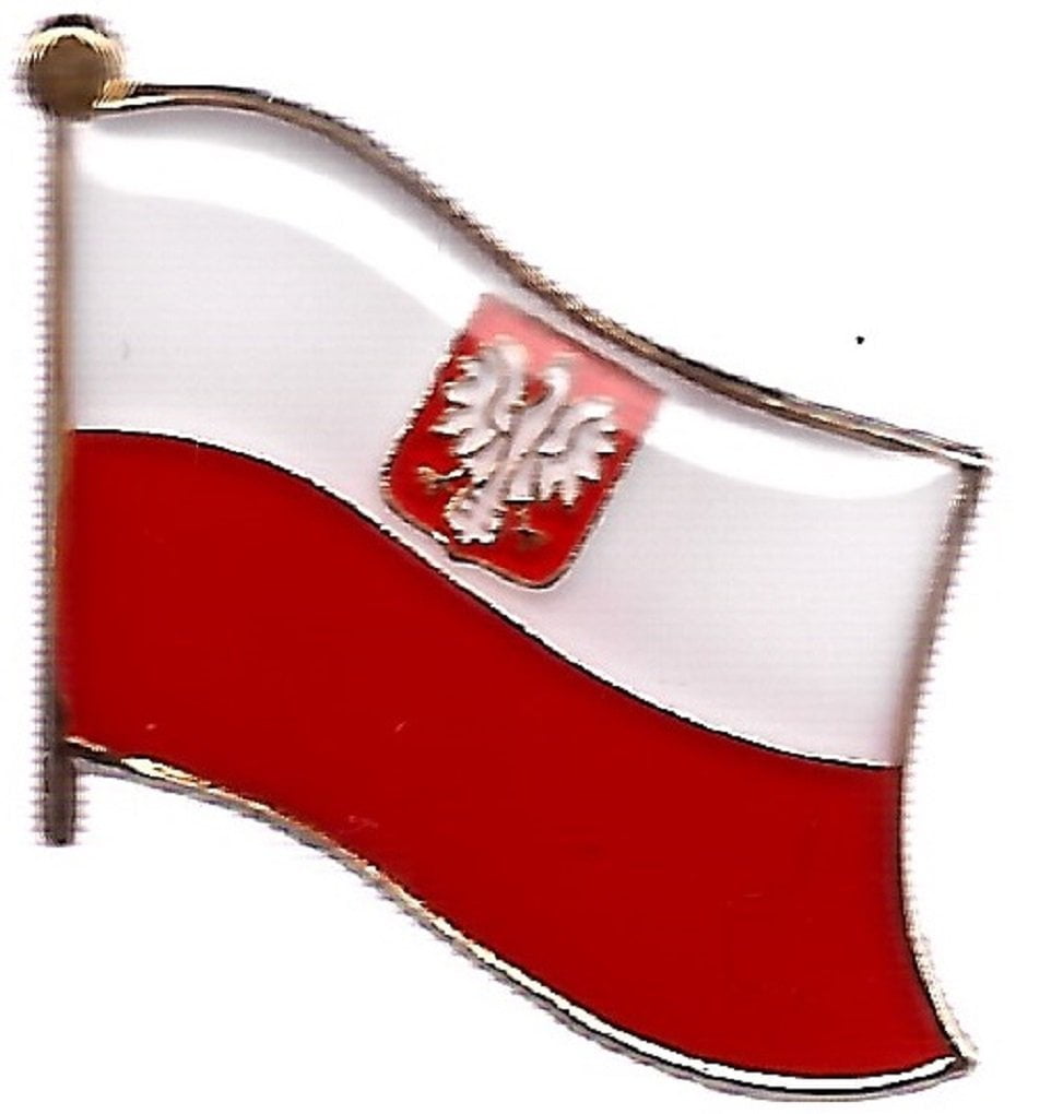 PACK of 3 Poland Eagle Single Flag Lapel Pins, Polish Eagle Pin Badge ...