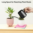 12 oz / 350 ml Small Watering Can Indoor Plants, Stainless Steel Plant ...