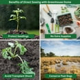 Rooted Promise Zucchini Garden Kit Organic Squash Seed Starting Kit ...