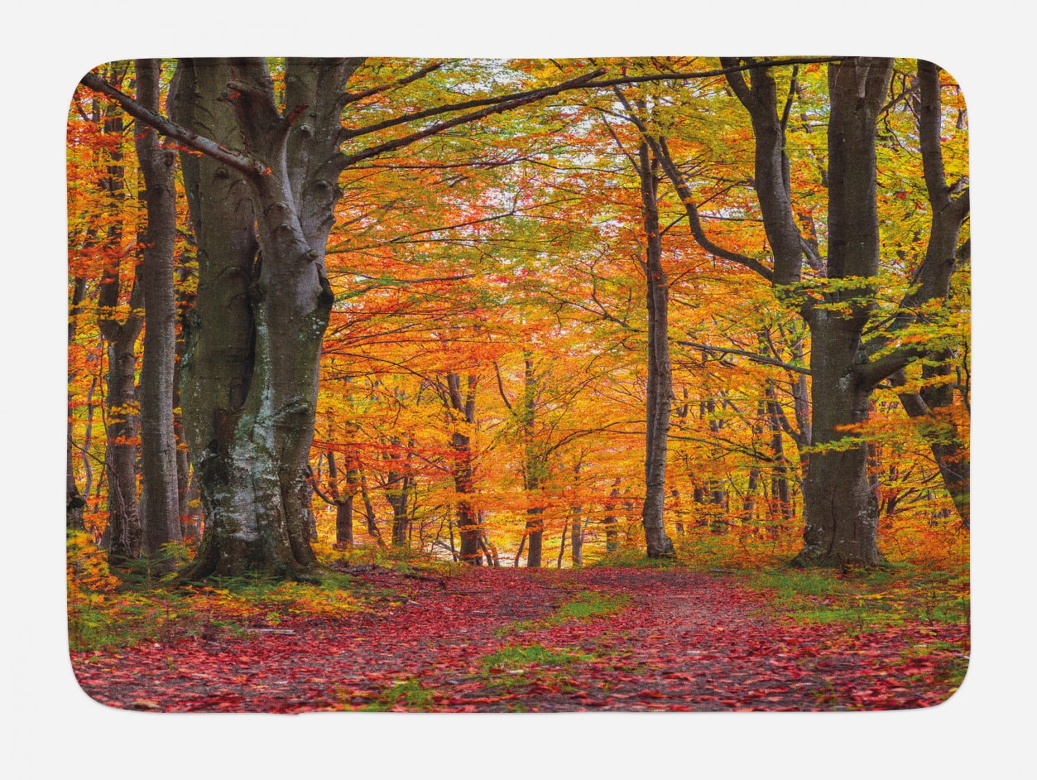 Autumn Bath Mat, Fall Forest with Shady Deciduous Trees and Faded Leaf ...