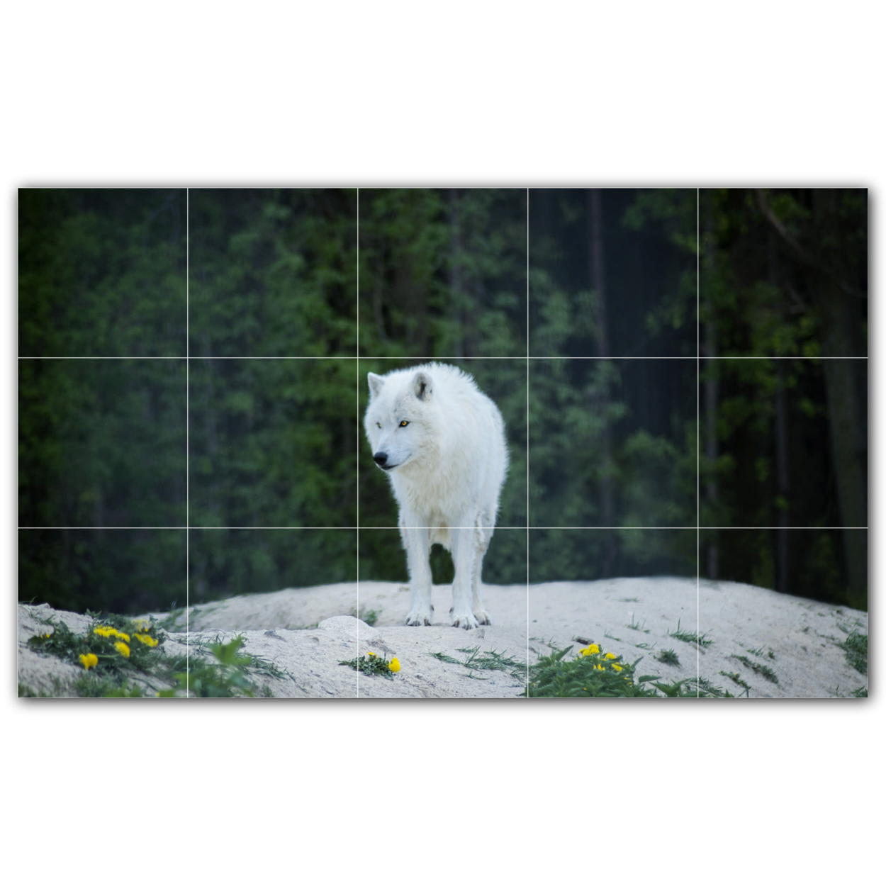 Picture-Tiles.com: Wolf Ceramic Tile Wall Mural WAL501237-53XL. 60"W x ...