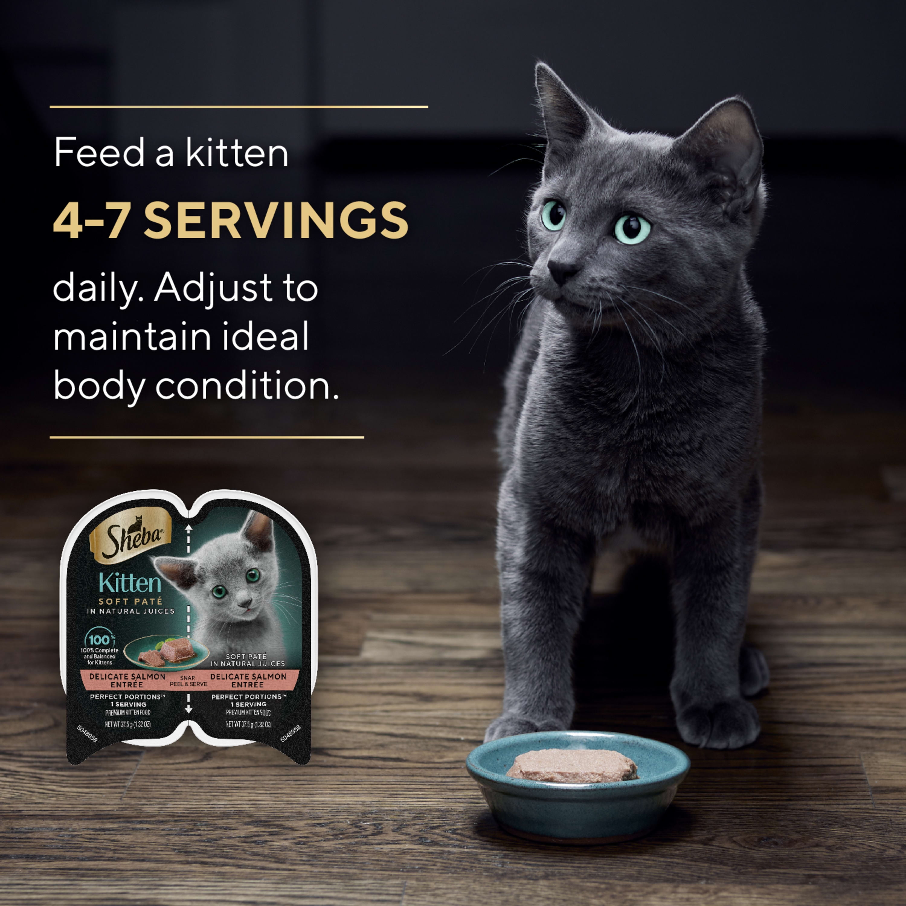 Sheba Cat Food Advert