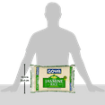 Goya Thai Jasmine White Scented Rice, Enriched and Imported, 10 lbs ...