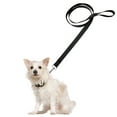 Didog 4ft Durable Nylon Dog Leash for Small Medium Dogs Puppy Walking ...