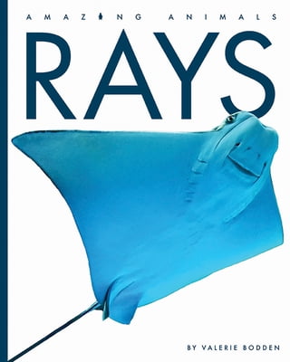 Pre-Owned Rays (Paperback) 1682770672 9781682770672 - Walmart.com