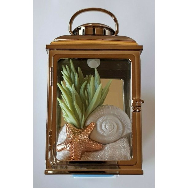 Seashell Distribution