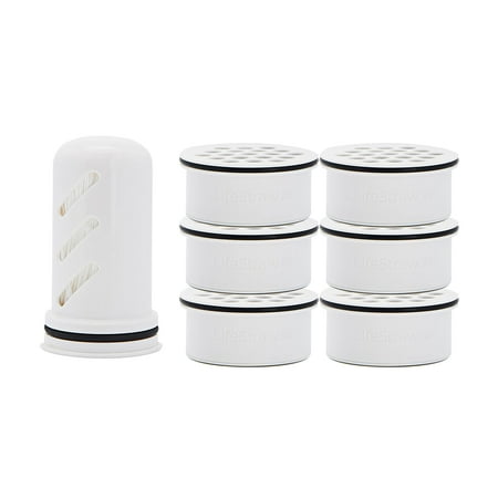 LifeStraw Home â€“ Replacement Filter 1-Year Pack for Protection ...