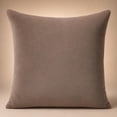 Alchemic Living Set of 2 Camel Beige Luxurious Soft Velvet Rectangle ...
