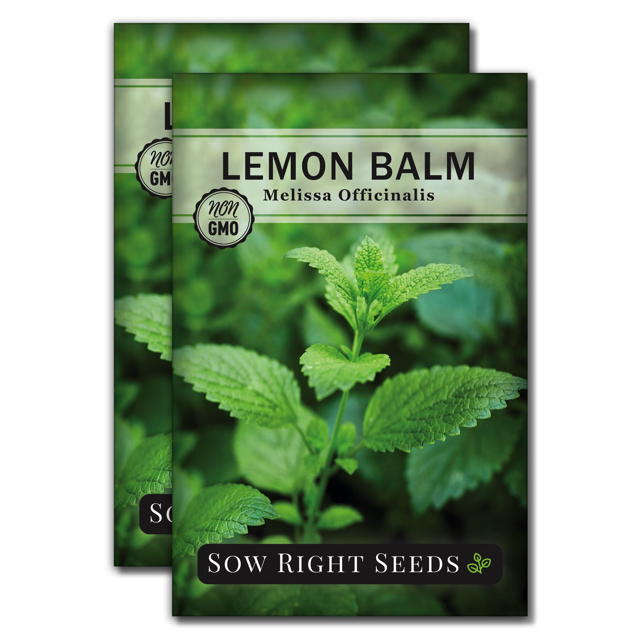 Lemon Balm Seeds for Planting - Non GMO Heirloom Varieties for your ...