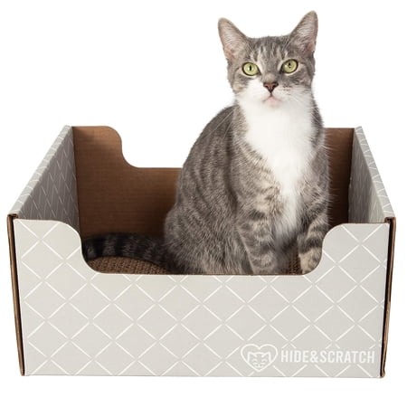 Hide & Scratch | Walmart Canada