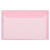 JAM Paper Cello Sleeves, 5 7/16 x 8 5/8, Light Red, 100/Pack, Peel ...