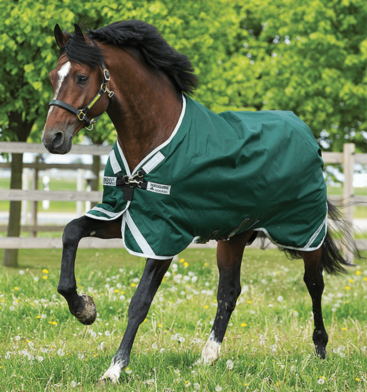 Rambo® Original with Leg Arches (400g Heavy) (Green/Silver, 69 ...