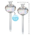 NiHome Iridescent Glass Cactus Watering Globes, 2-Pack, Self Watering System for Potted Plants ...