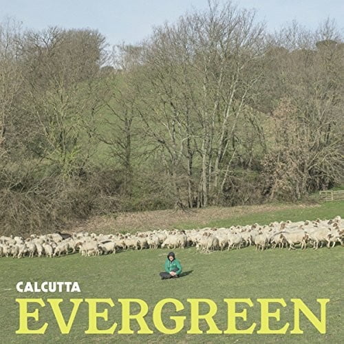 Evergreen (CD) - Walmart.com