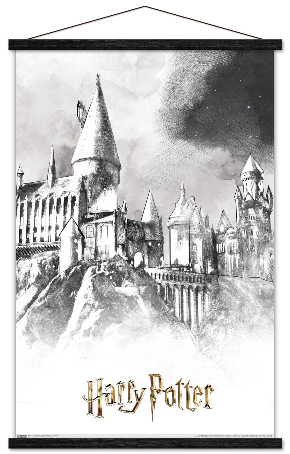The Wizarding World: Harry Potter - Illustrated Hogwarts Wall Poster ...