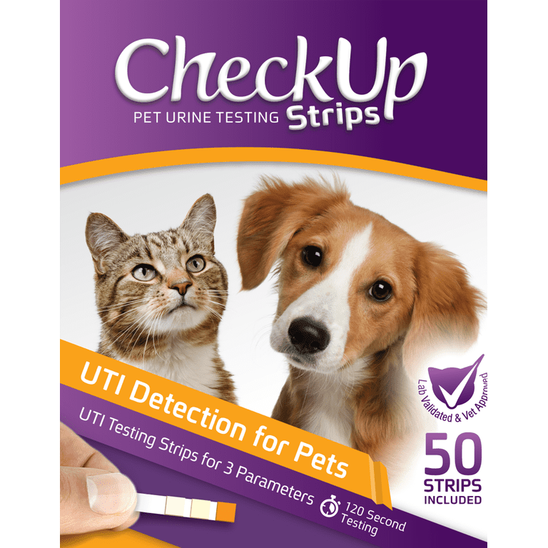 Home Test For Uti In Dogs - Homemade Ftempo