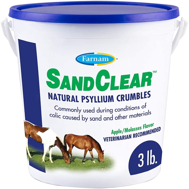 Horse Gut Health