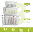 Fresh Container, 3PACK Produce Saver Container BPA Free Fridge ...