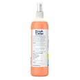 Fresh 'n Clean® Waterless Shampoo Classic Fresh Scent, 12 oz. - Walmart.com