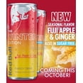 Red Bull Sugar Free Energy Drink, The Winter Edition, 12 Fl Oz (6 pack ...