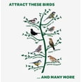 Peckish Complete Seed Mix 1.7kg Paper Bag Bird Health - Walmart.com