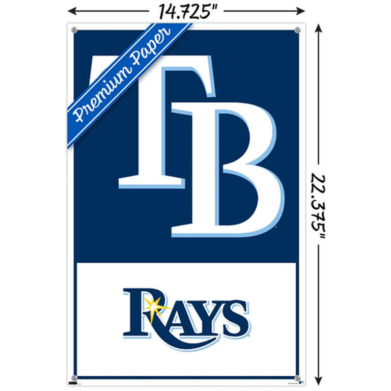 Rays Baseball Logo MLB Tampa Bay Rays Logo | EBay