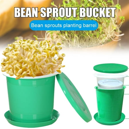 Household Bean Sprouts Making Pot Bean Sprouts Cans Sprouts Planting ...
