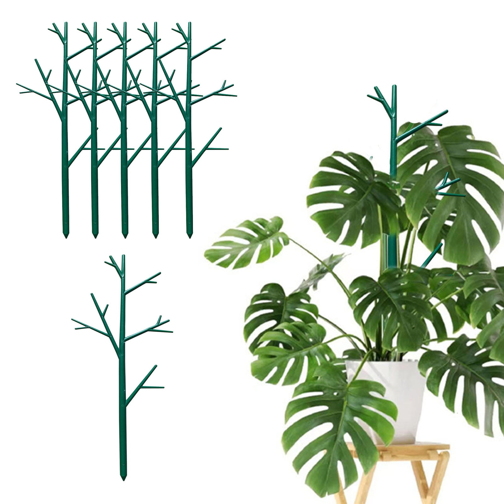 Skindy Plant Support Trellis with Branches - 5Pcs, Easy to Install ...