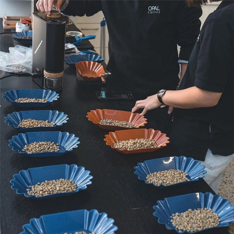 Coffee Bean Tray Plate Beans Display Cupping Sample Measuring Storage ...