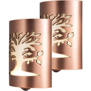 Meridian Great Value 2-Pack LED Manual Night Light, Soft White ...