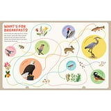 Backpack Explorer: Backpack Explorer: Bird Watch : What Will You Find ...