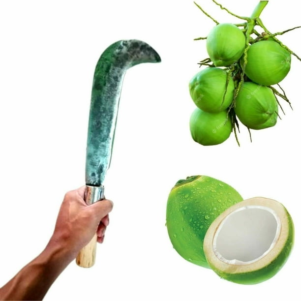 Coconut Breaker Cutting Knife, Opener Hole Tool, Wooden Handle, Aruval ...