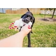 Multipet Lamb Chop Plush Dog Toys, with Rope Pull and Crinkle Noise ...