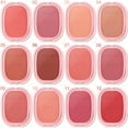 Candy Tan Rouge Monochrome Pearly Satin And Mist Finish Optional Powder ... Candy Tan Rouge Monochrome Pearly Satin And Mist Finish Optional Powder ...