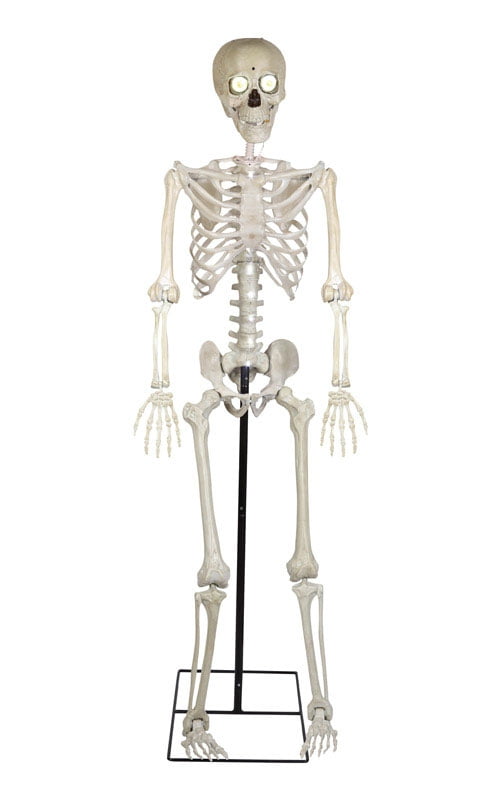 Gemmy 70467 Halloween Talking Human Skeleton, Stone - Walmart.com