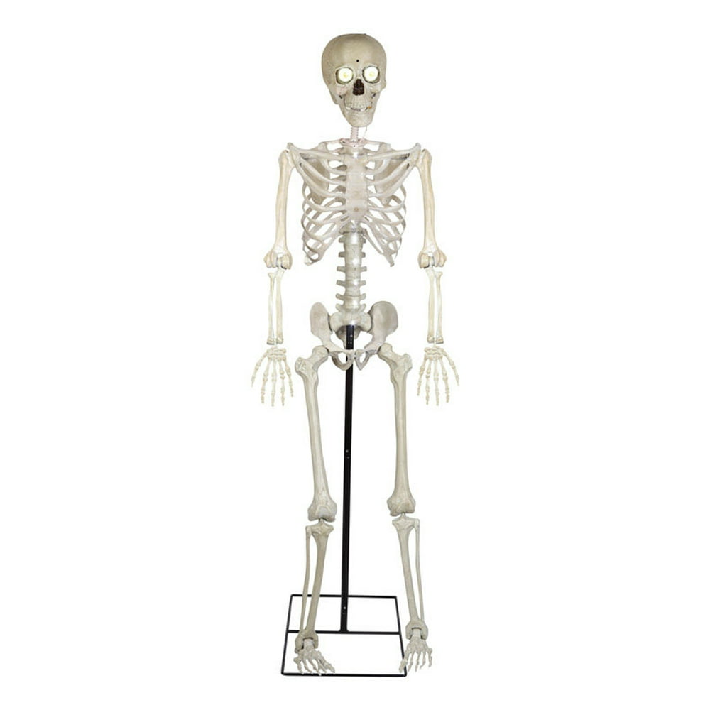 Gemmy 70467 Halloween Talking Human Skeleton, Stone - Walmart.com ...