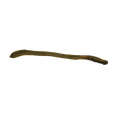 DMF Bait Co. Green Worms, Live Fish Bait, 12 Count - Walmart.com